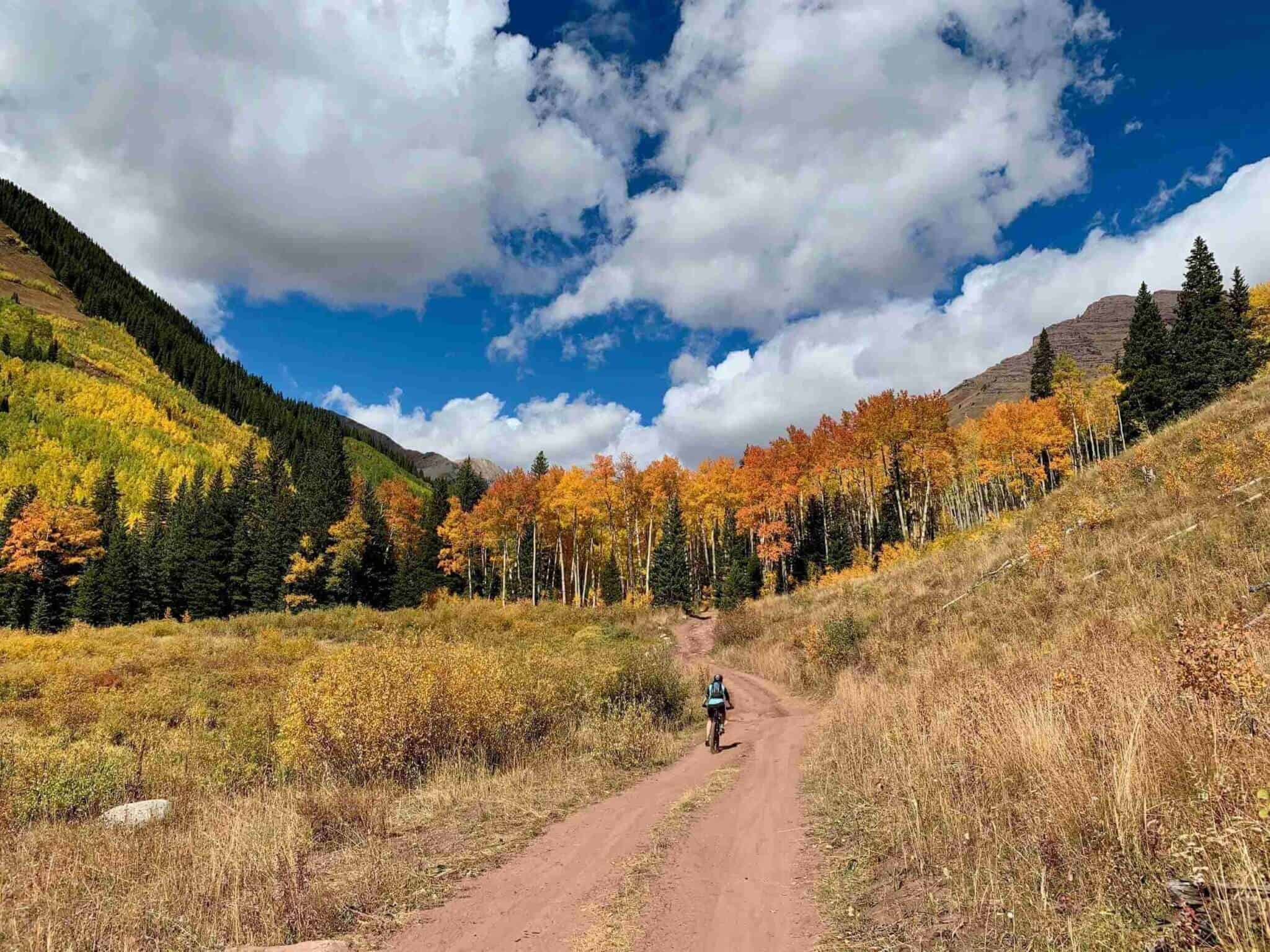 Galbraith Mountain: A Mountain Biker's Guide To Bellingham's Best Riding