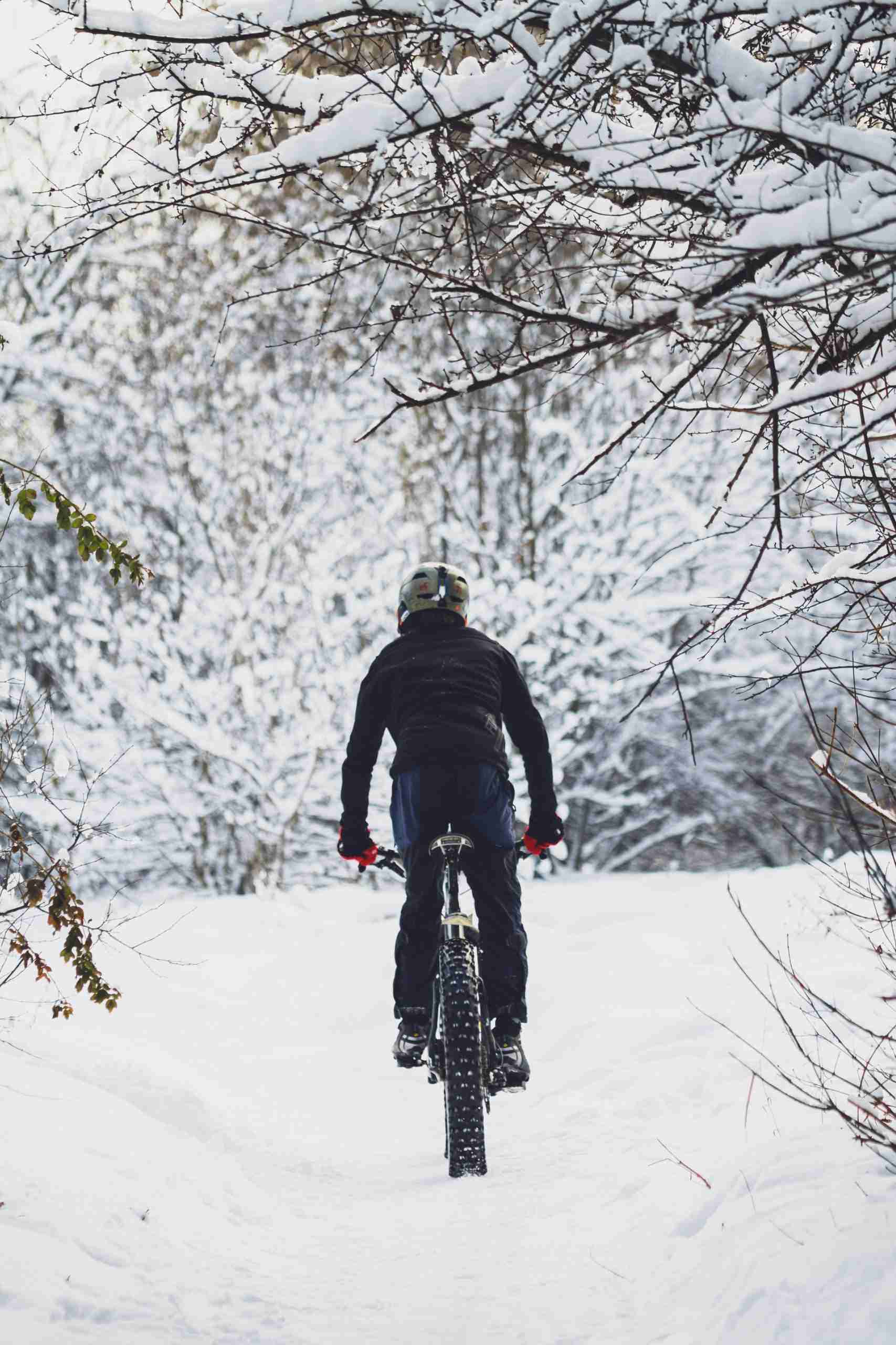 What Is Winter Fat Biking All About and Where Can You Do It? | Two ...