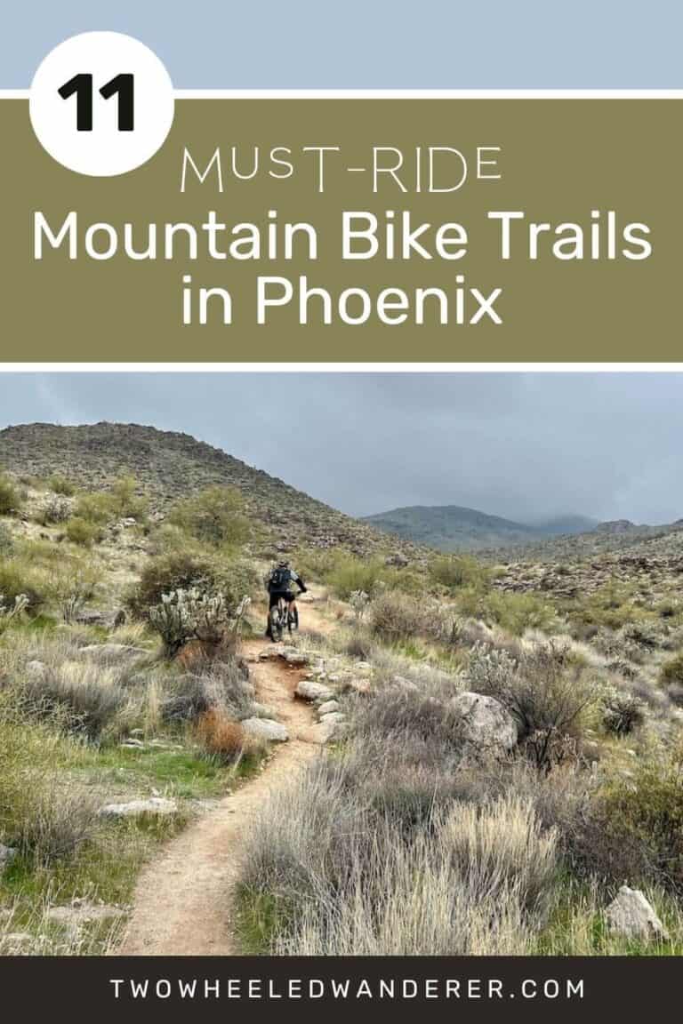 11 Best Phoenix Mountain Bike Trails for Every Rider