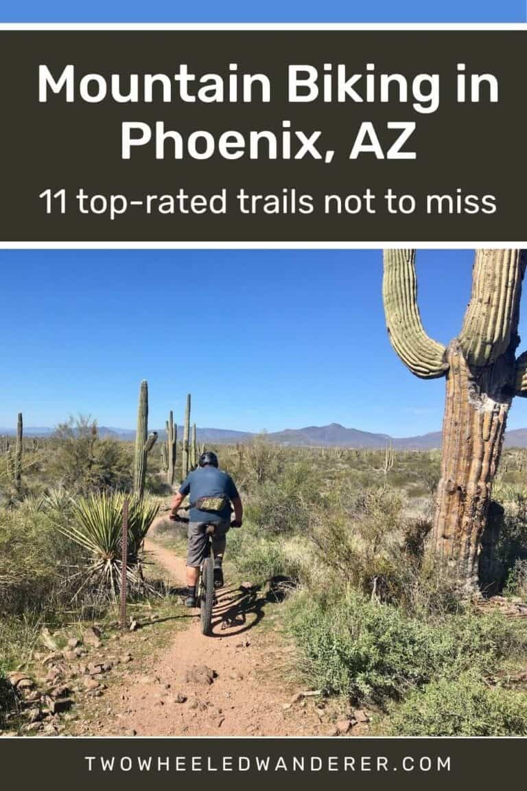 11 Best Phoenix Mountain Bike Trails for Every Rider