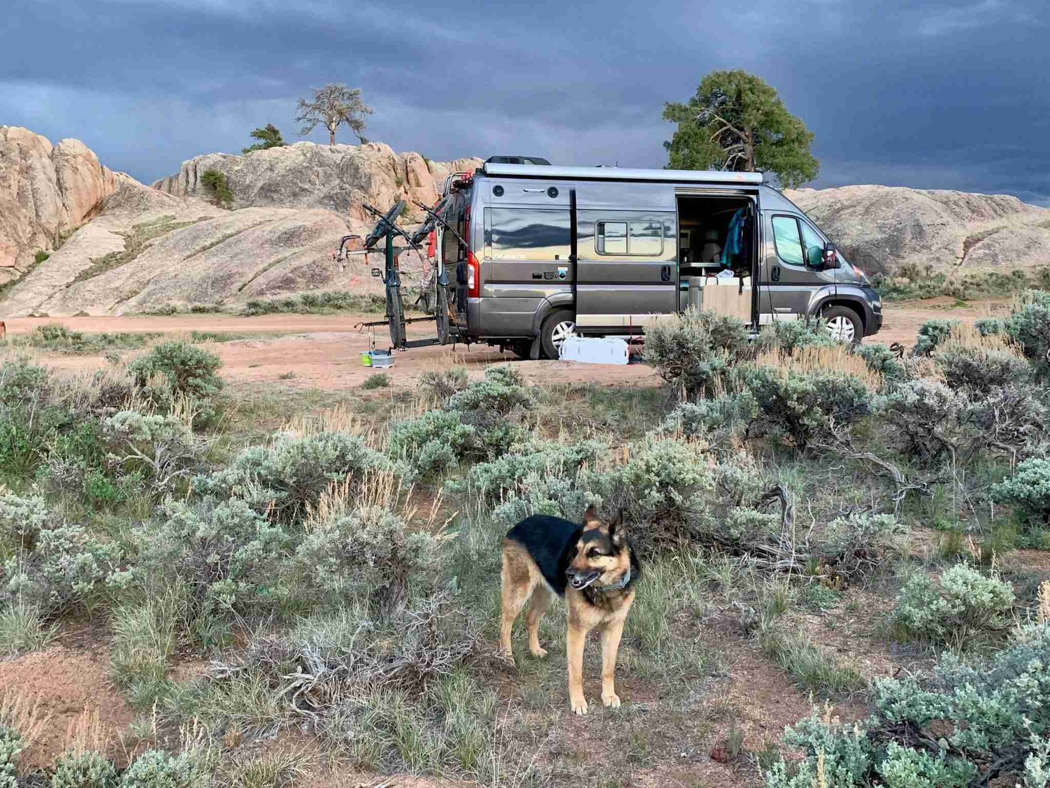 Important Considerations For Mountain Bike Vans + 5 Adventure-ready rigs
