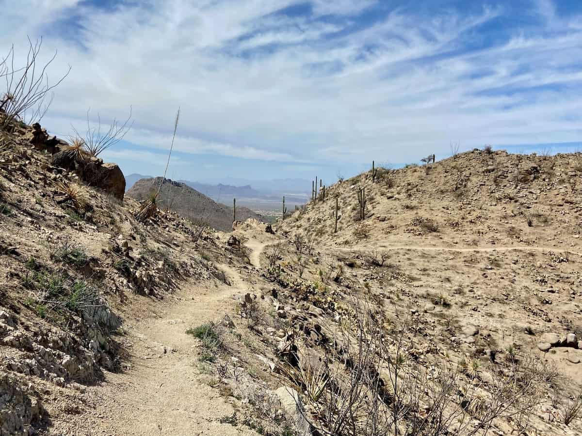 11 Best Mountain Bike Trails in Tucson, Arizona