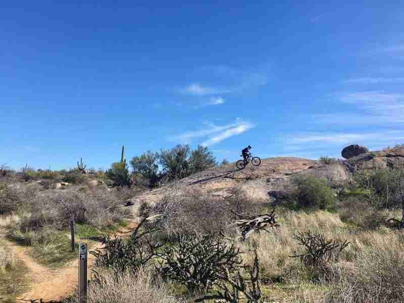 The 5 best mountain bike trails in Phoenix, Arizona | Two Wheeled Wanderer