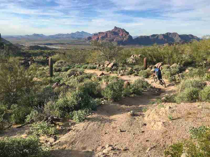 The 5 best mountain bike trails in Phoenix, Arizona | Two Wheeled Wanderer