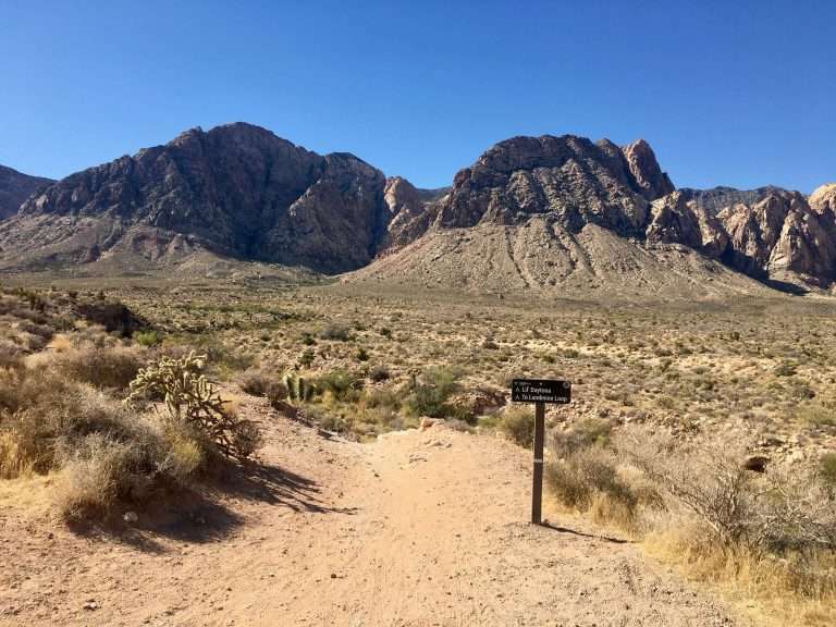 Discover the Best Mountain Biking in Las Vegas