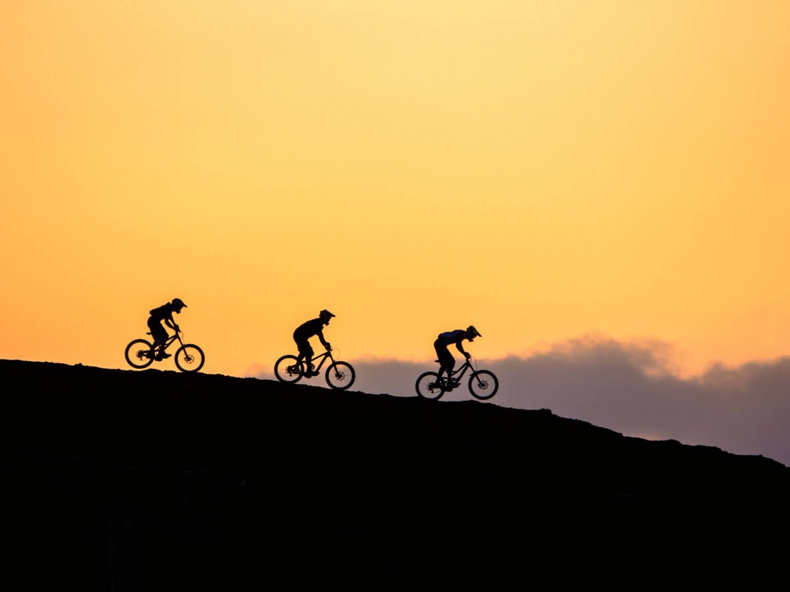 49 Great Biking Quotes For Motivation & Inspiration