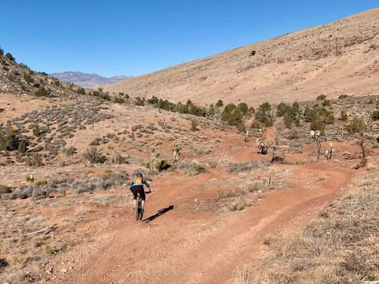 Discover the Best Mountain Biking in Las Vegas