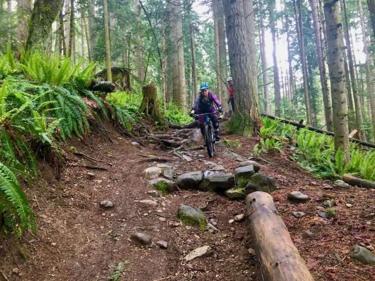 16 Ways to Explore Seattle & The Puget Sound by Bike