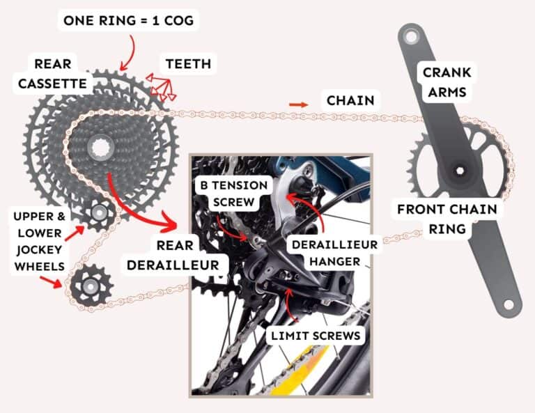 Bike Anatomy: A Complete Glossary + Diagrams! | Two Wheeled Wanderer