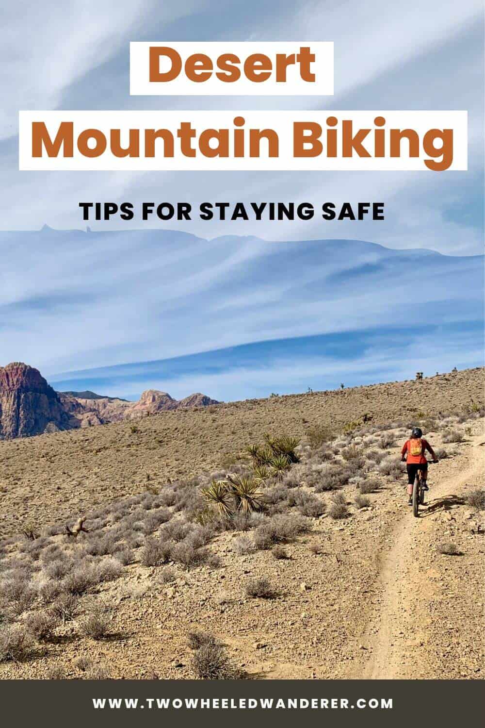 Desert Mountain Biking Tips: How To Survive Your First Trip to the Desert
