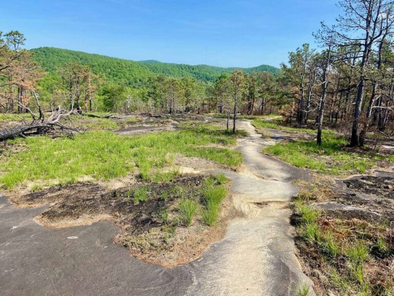 A Mountain Biker's Guide to DuPont State Forest in NC