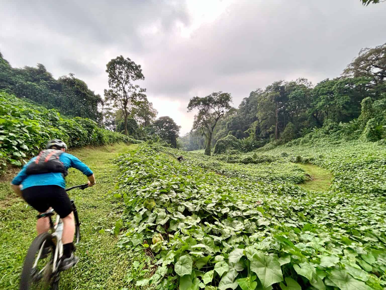 Highlights and Reflections from the TDA Ruta Maya Tour