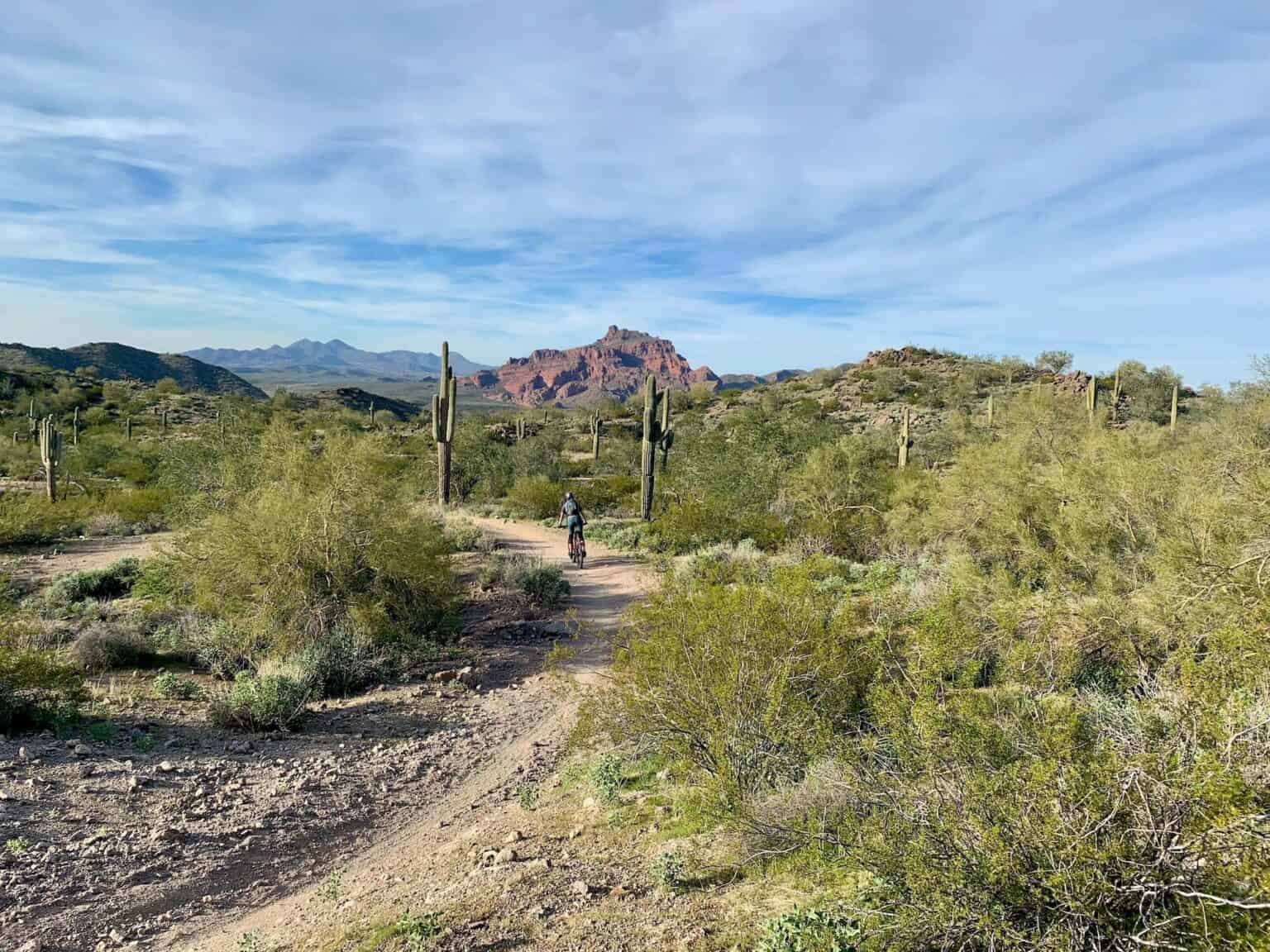 5 Beautiful Beginner-Friendly Mountain Bike Trails in Phoenix
