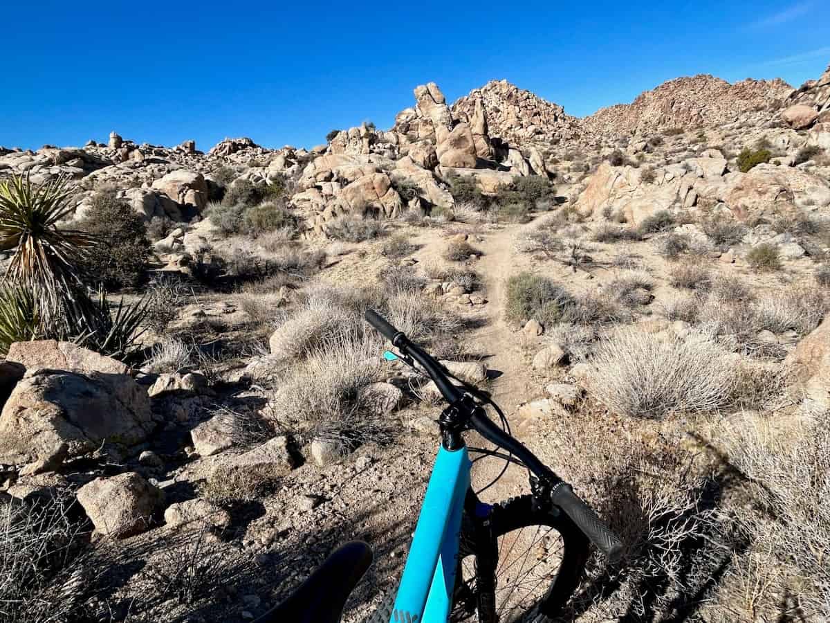 Joshua Tree Mountain Biking: Best Trails, Tips, & Route Recommendations