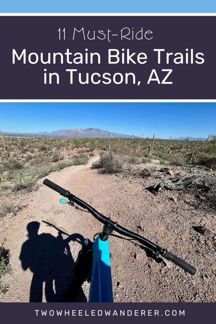 11 Best Mountain Bike Trails in Tucson, Arizona