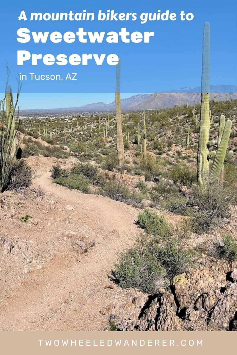 Sweetwater Preserve in Tucson: A Mountain Biker's Guide