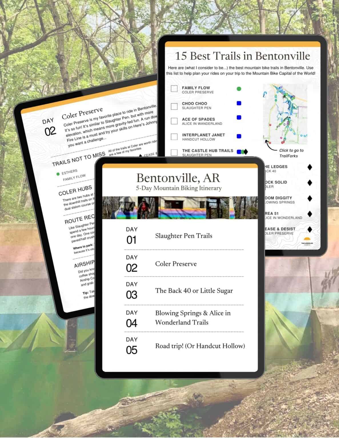 Slaughter Pen Trails: How to Ride the Heart of Bentonville’s Mountain ...