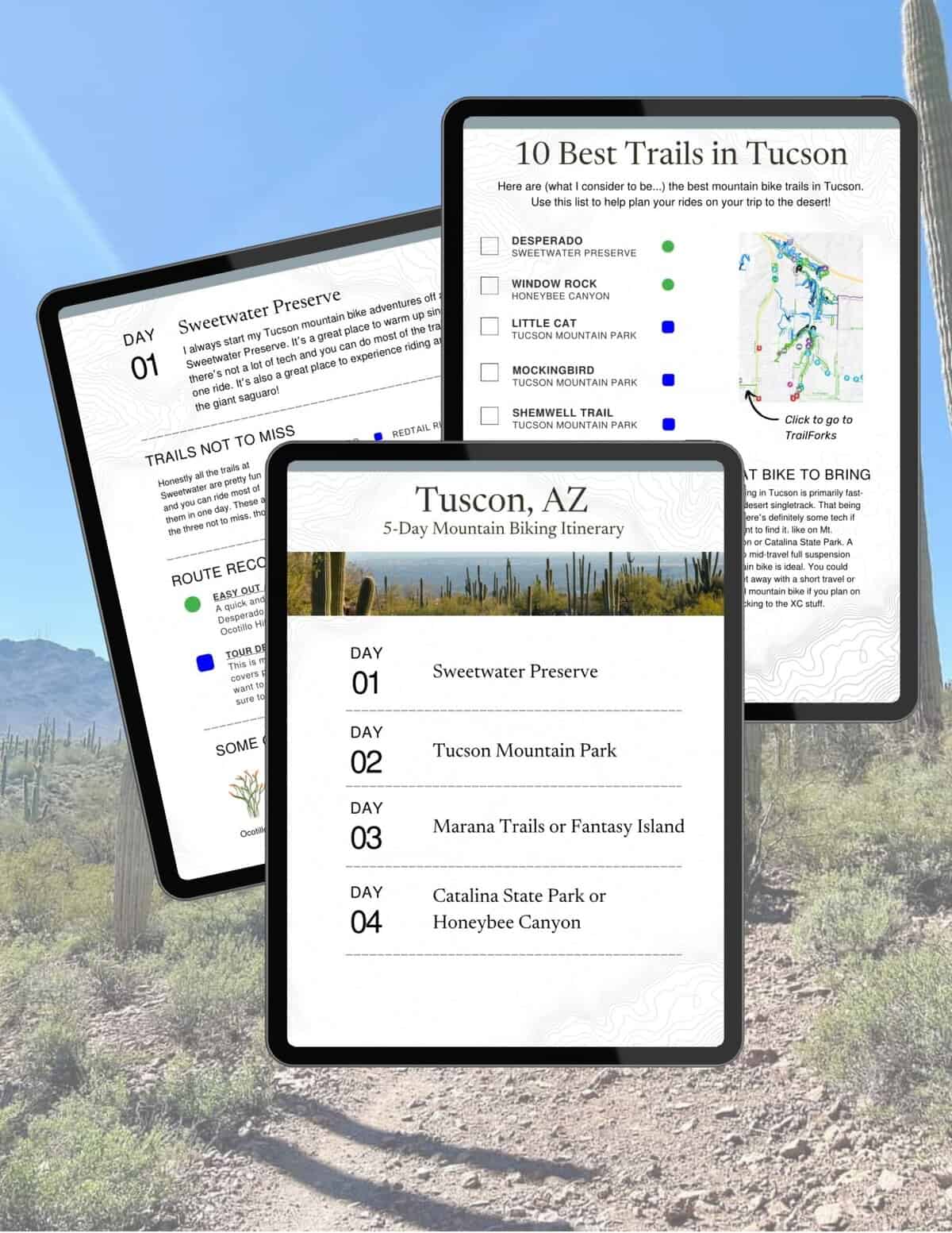 Tucson Mountain Park: Tucson’s Biggest and Best(?) Mountain Bike Trail ...