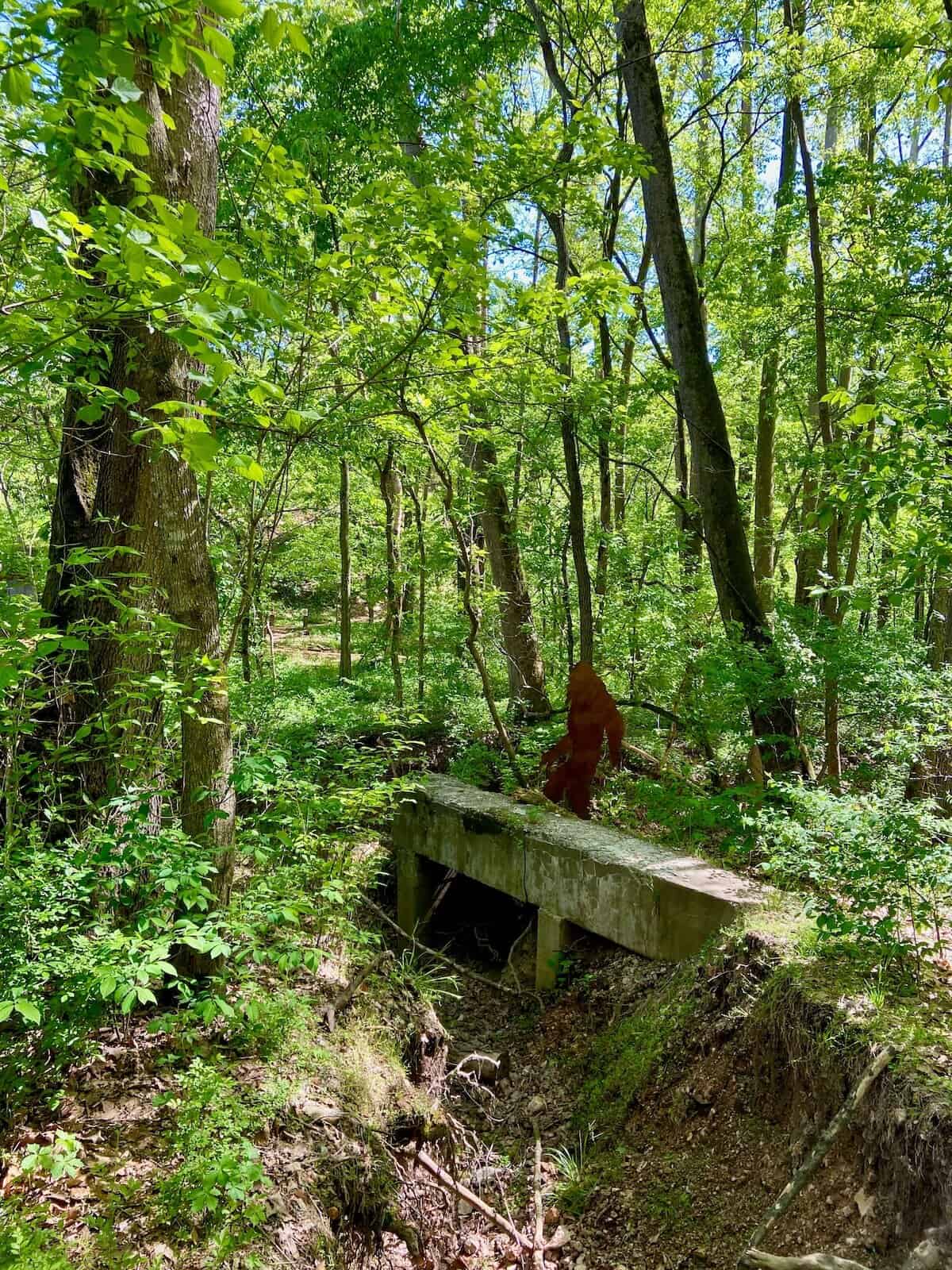 Slaughter Pen Trails: How to Ride the Heart of Bentonville’s Mountain ...