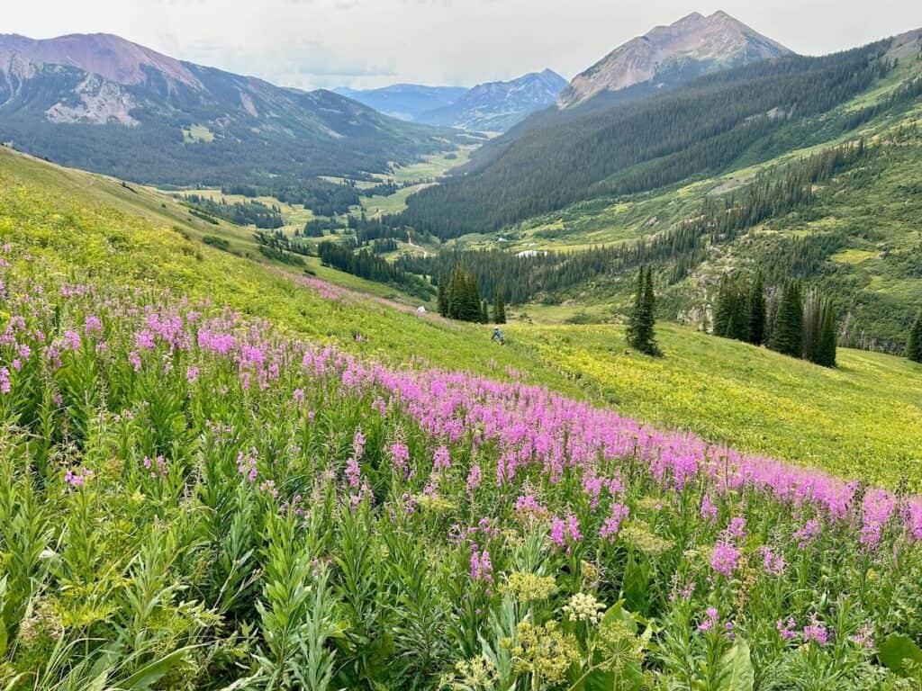 Crested Butte Mountain Biking Guide: How to Explore Colorado’s High ...